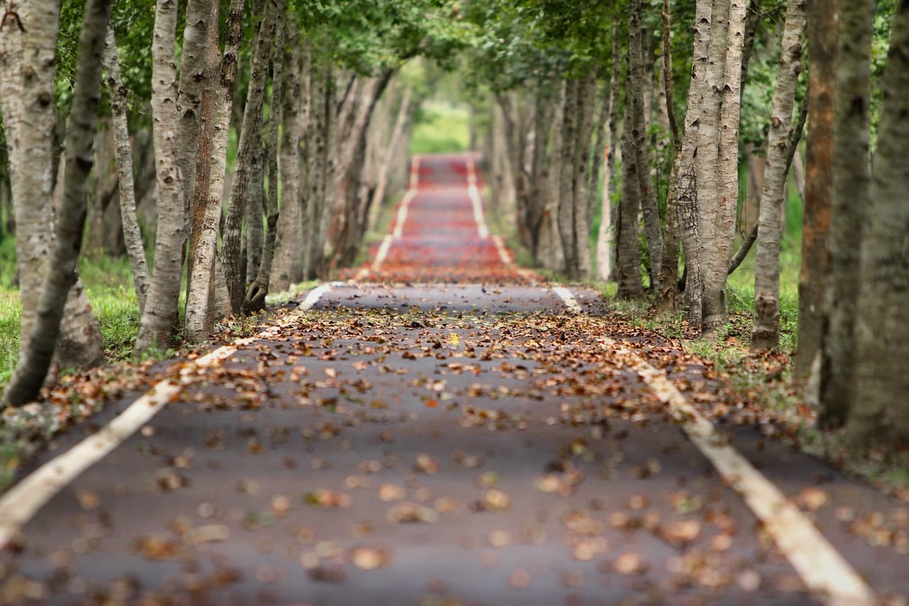 Stay In Your Lane – Joey Rudder